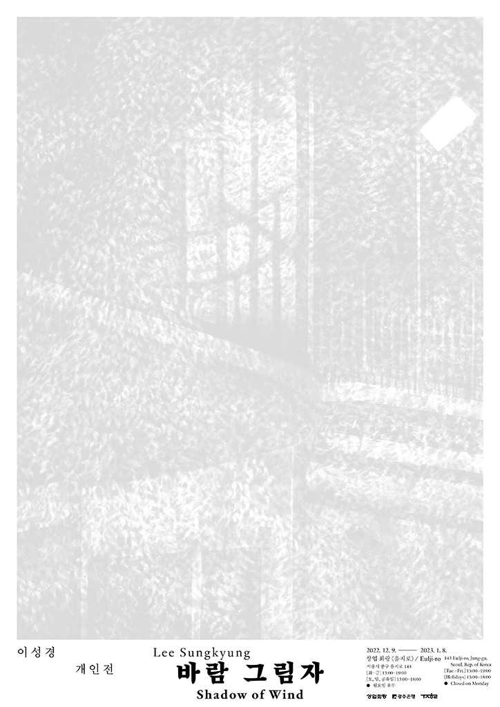 Lee Sungkyung Shadow of Wind Poster — SHIN SHIN